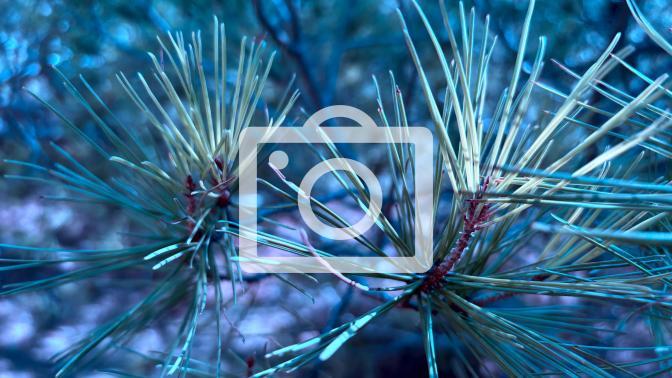 Fotos de la exposición 'Insectos, todo lo que cuentan' en el Museo de ...