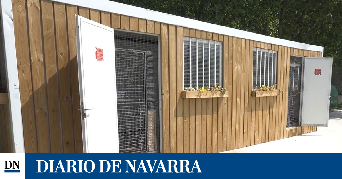 El Centro de Atención a Animales del Ayuntamiento de Pamplona estrena ... El Centro de Atención a Animales del Ayuntamiento de Pamplona estrena ...