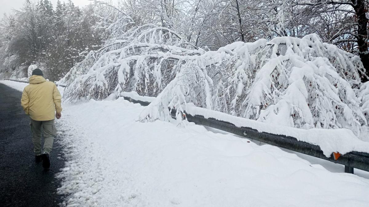 En directo: La nieve arrecia sobre Pamplona y pone en alerta a buena ...